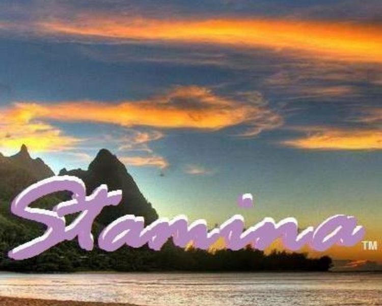 Meet Maritza Spainhouer of Stamina Wellness Center in McKinney - Voyage ...