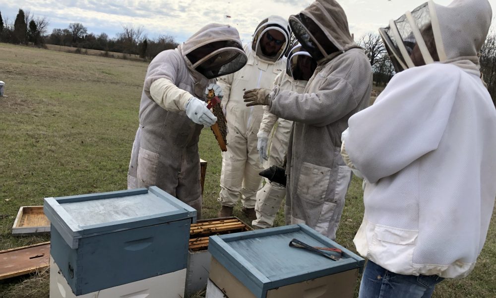 Meet Janelle Cole of Milk & Honey Meadows - Voyage Dallas Magazine ...