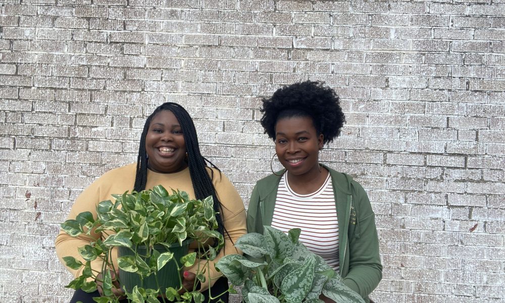 Hidden Gems: Meet Cora Morgan and Tirranny Nettles of New Growth Plants ...