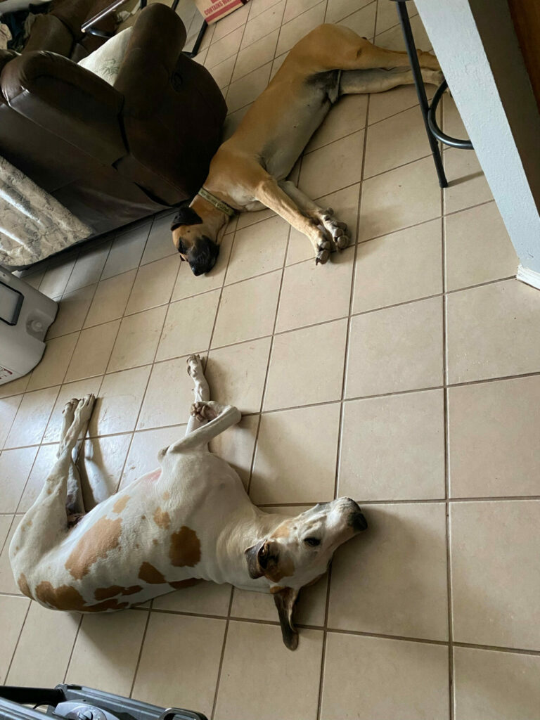 Meet Jerri Berry - Voyage Dallas Magazine | Dallas City Guide