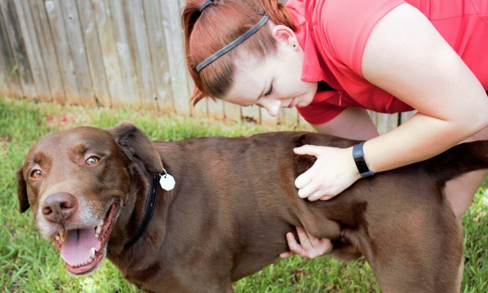 Check Out Kaitlyn Lackey’s Story - Voyage Dallas Magazine | Dallas City ...