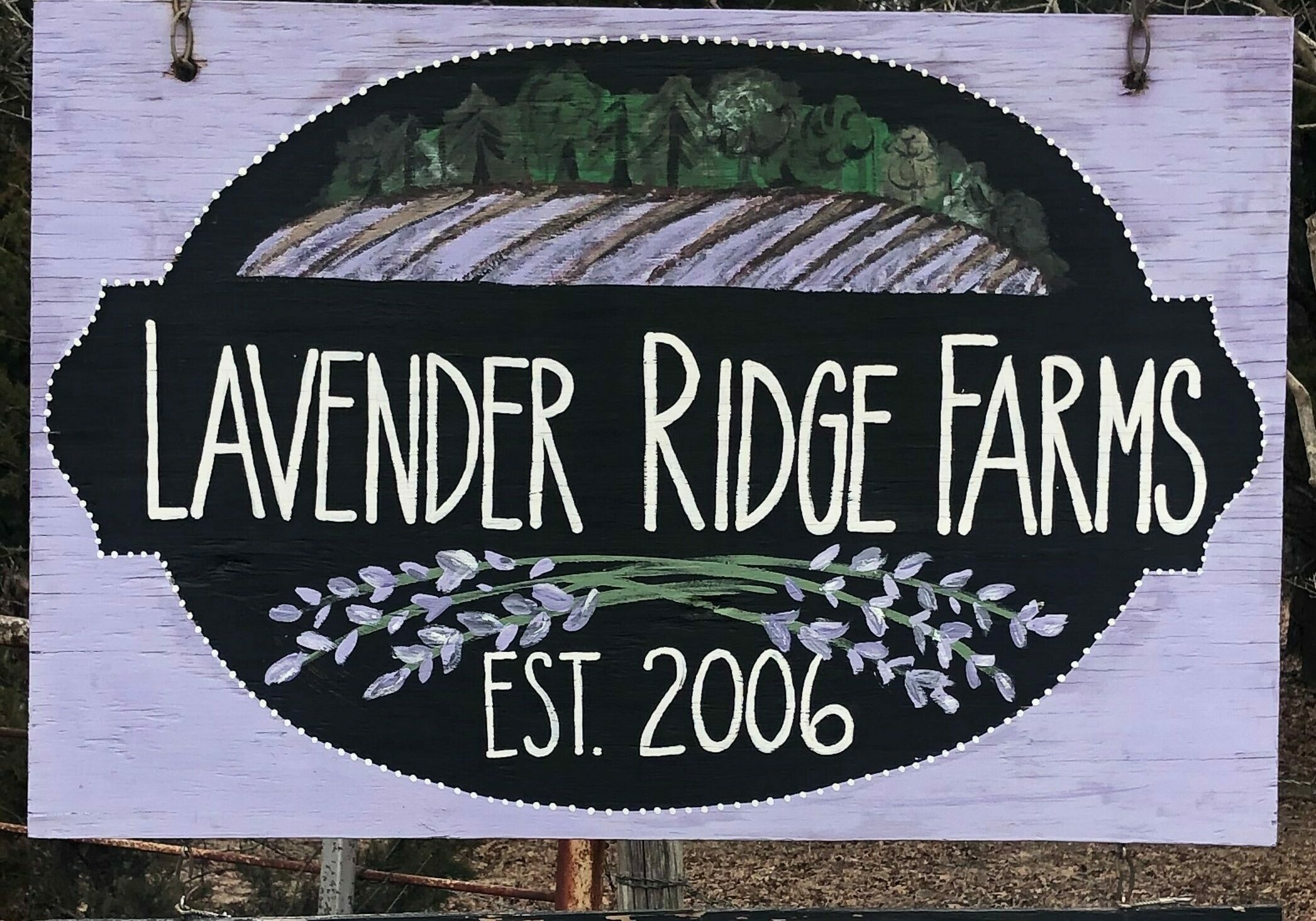 Community Highlights: Meet Jane Dane of Lavender Ridge Farms - Voyage ...