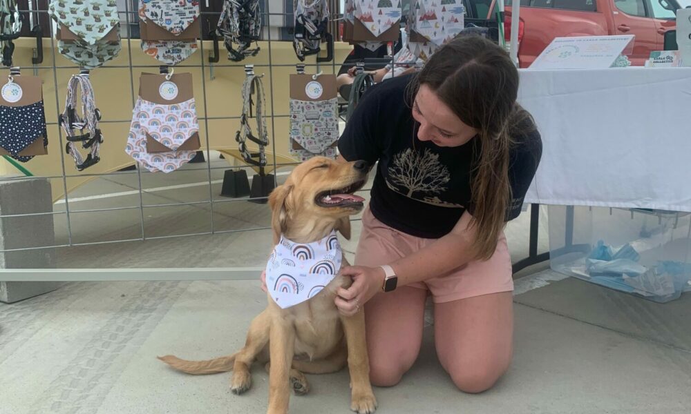 Inspiring Conversations with Libby Jackson of Carla Collective - Voyage ...