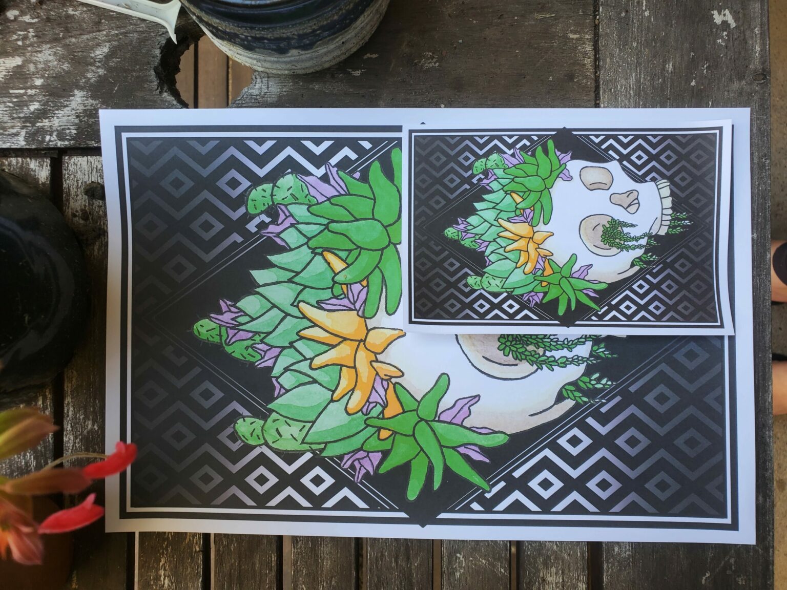 Rising Stars: Meet Haley Paty - Voyage Dallas Magazine | Dallas City Guide