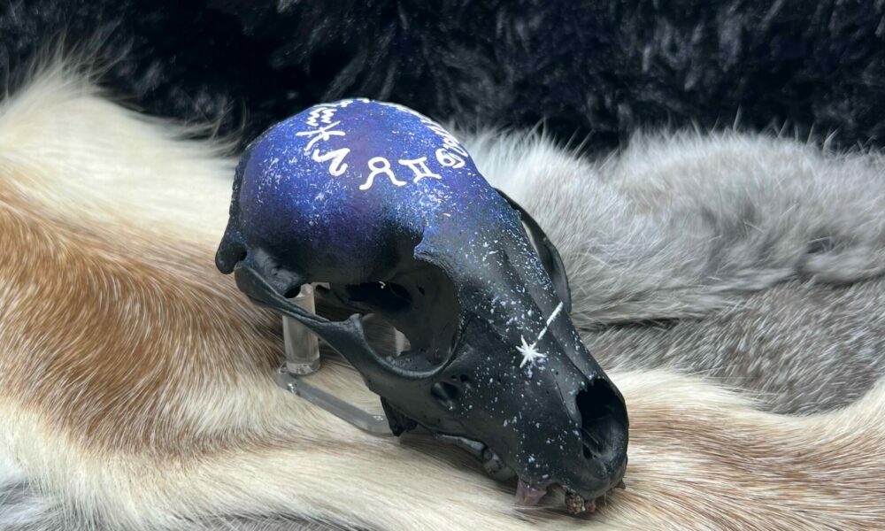 Life & Work with Jamie Fipps - Voyage Dallas Magazine | Dallas City Guide