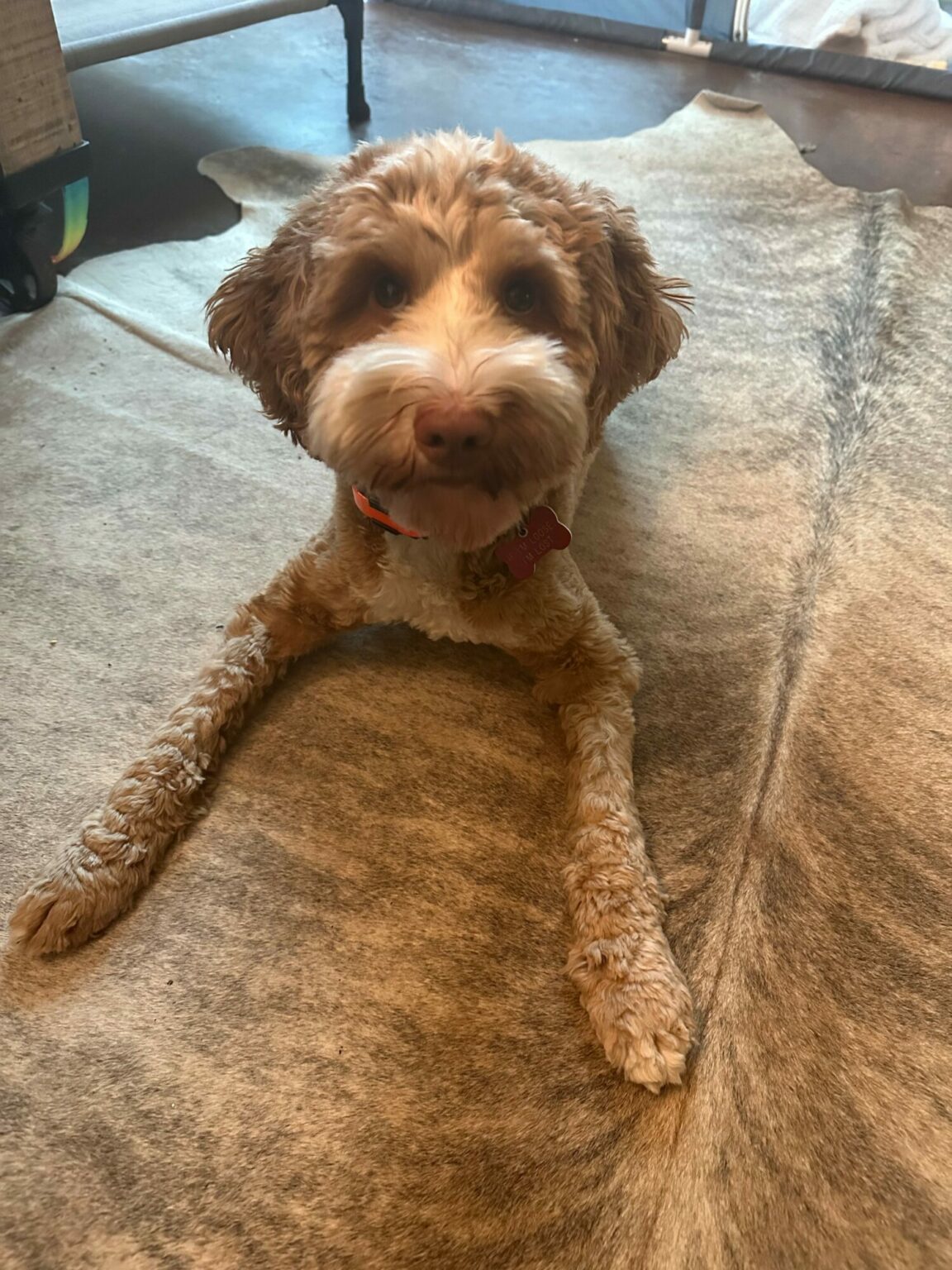 Rising Stars: Meet Rachelle Yates - Voyage Dallas Magazine | Dallas ...