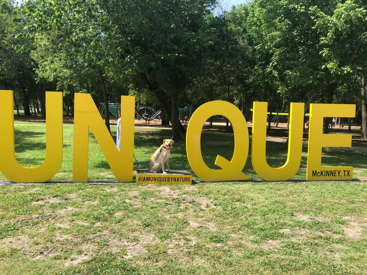 Rising Stars: Meet Rachelle Yates - Voyage Dallas Magazine | Dallas ...