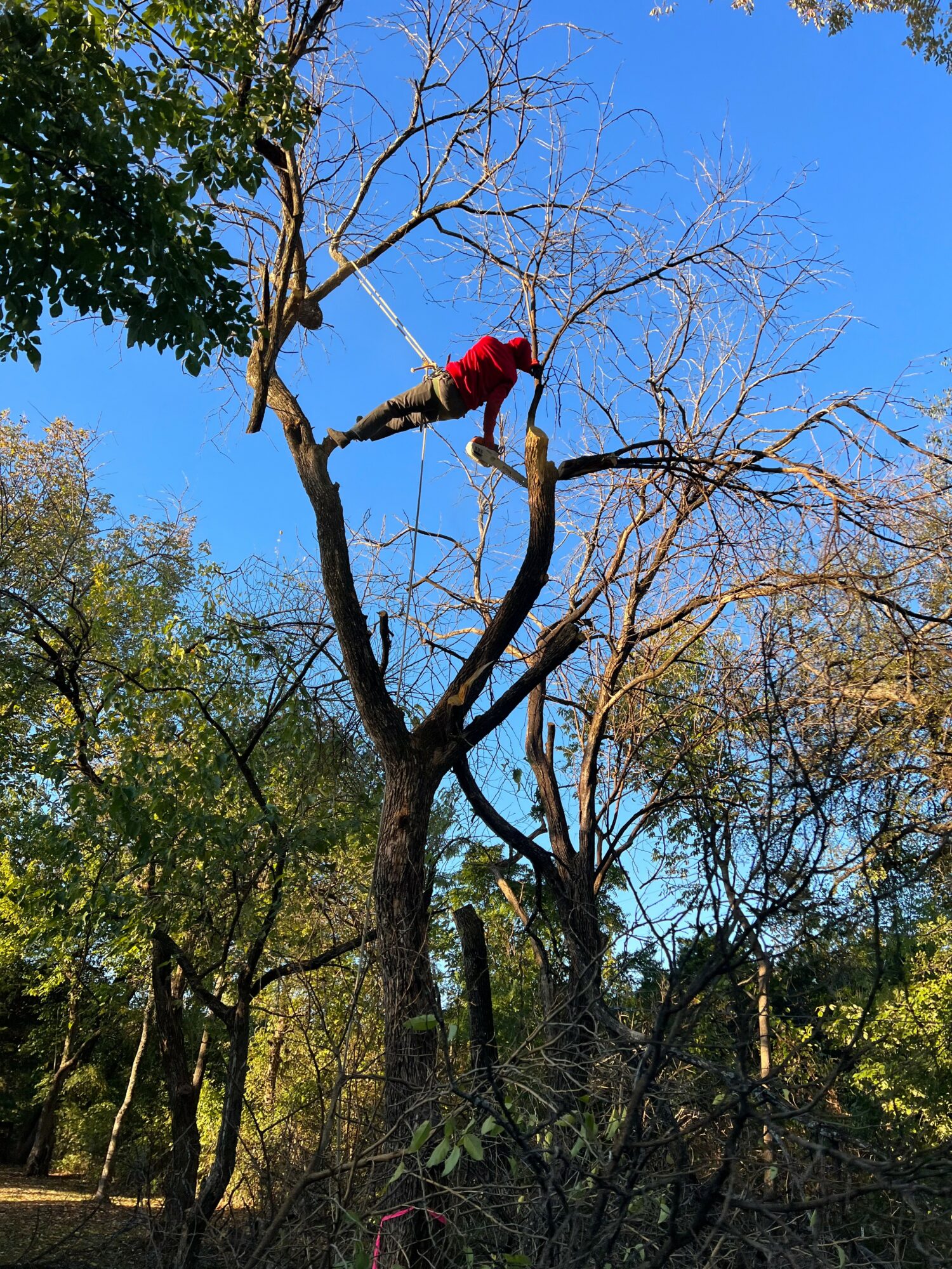 Life & Work with Jordan Pettit - Voyage Dallas Magazine | Dallas City Guide