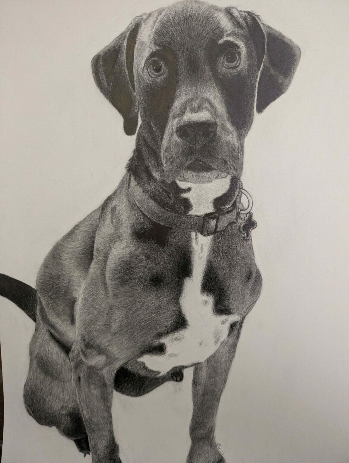 Inspiring Conversations with Paige Lane of Lane Studio Art Lessons ...