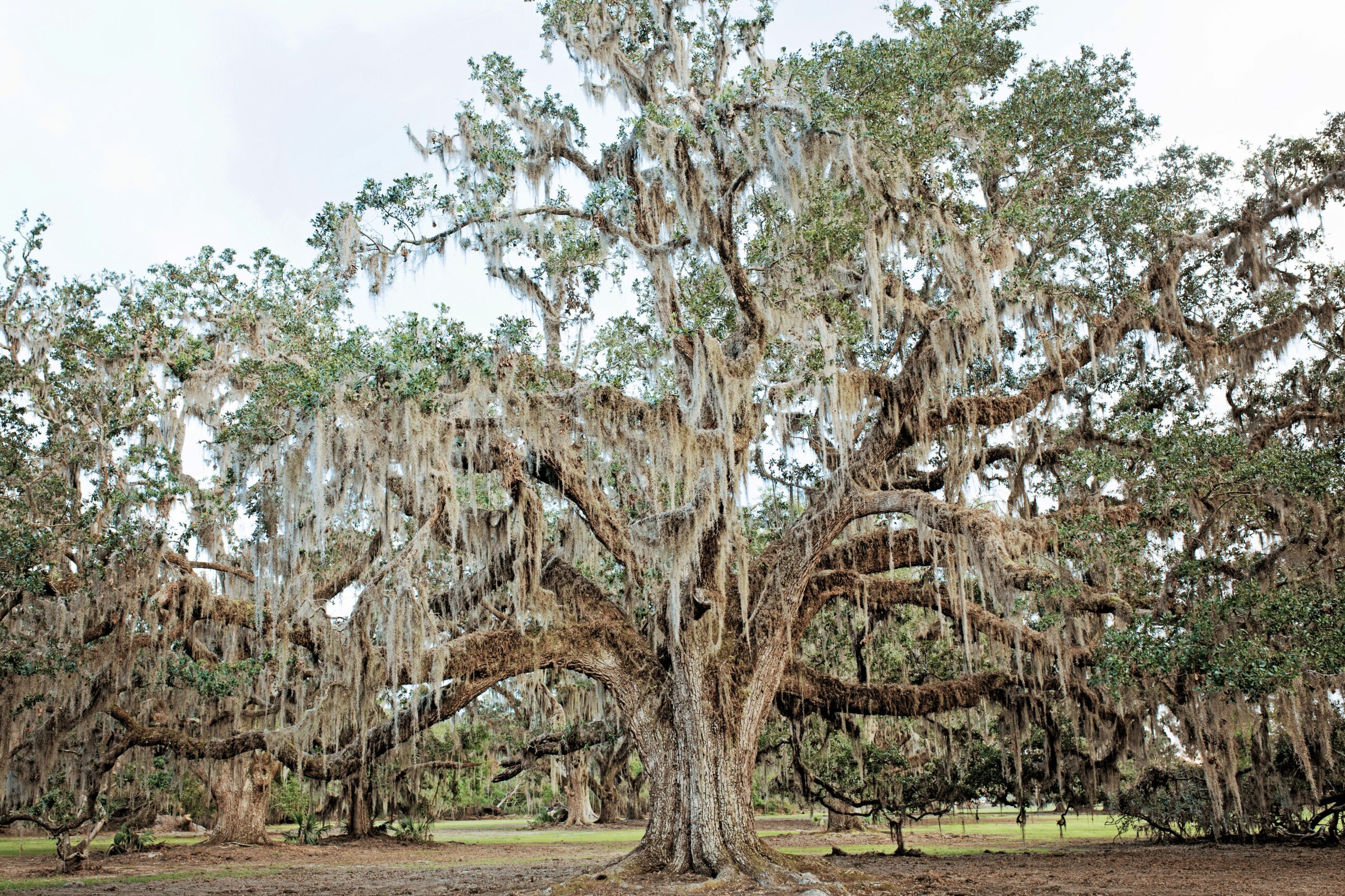 Life & Work with Brittany McBrayer - Voyage Dallas Magazine | Dallas ...