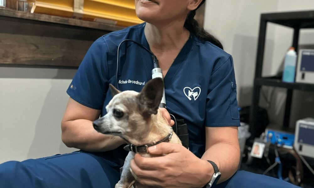 Hidden Gems: Meet Michele Broadhurst of Rehab 4 Pets - Voyage Dallas ...