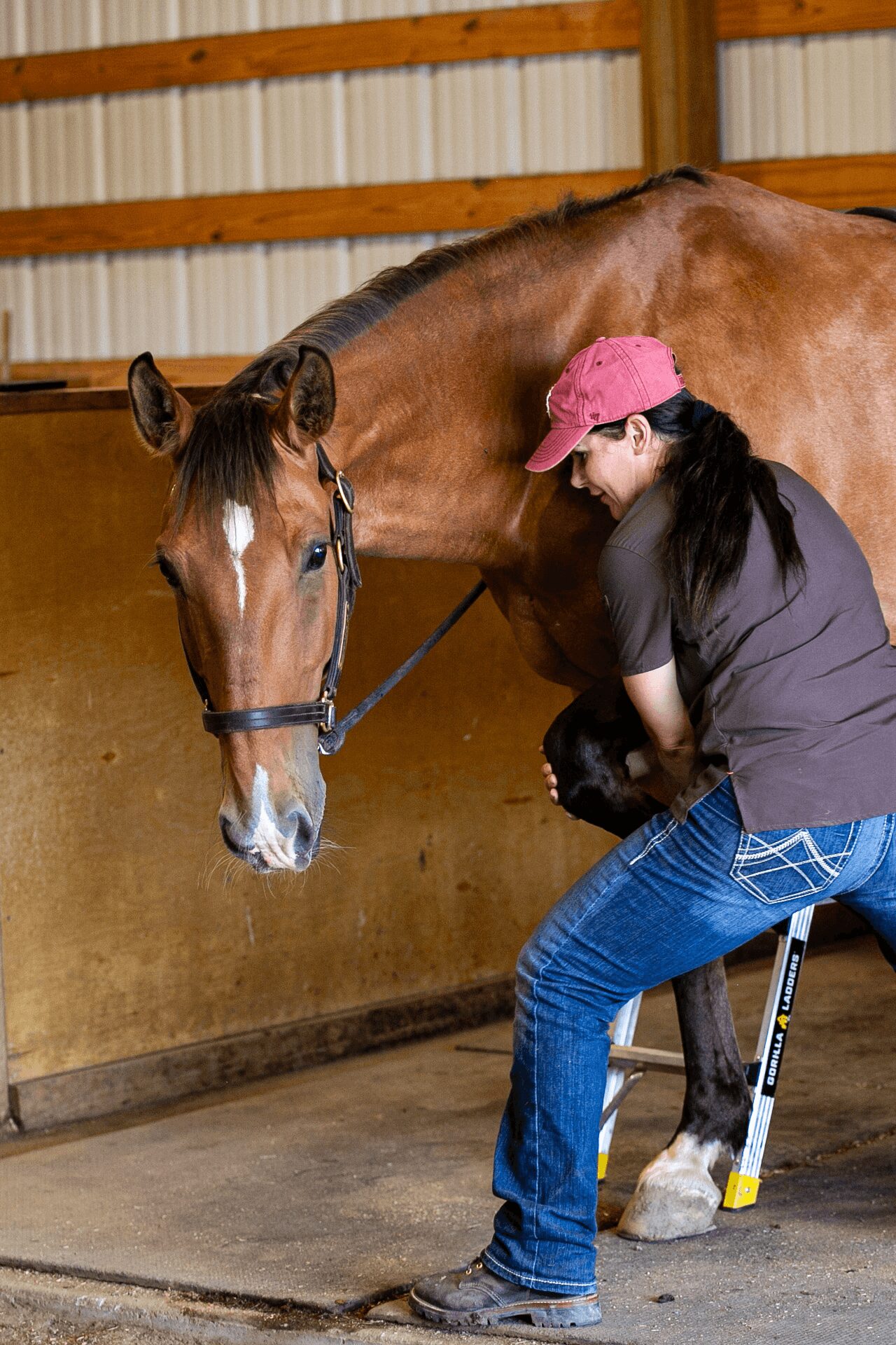 Hidden Gems: Meet Michele Broadhurst of Rehab 4 Pets - Voyage Dallas ...