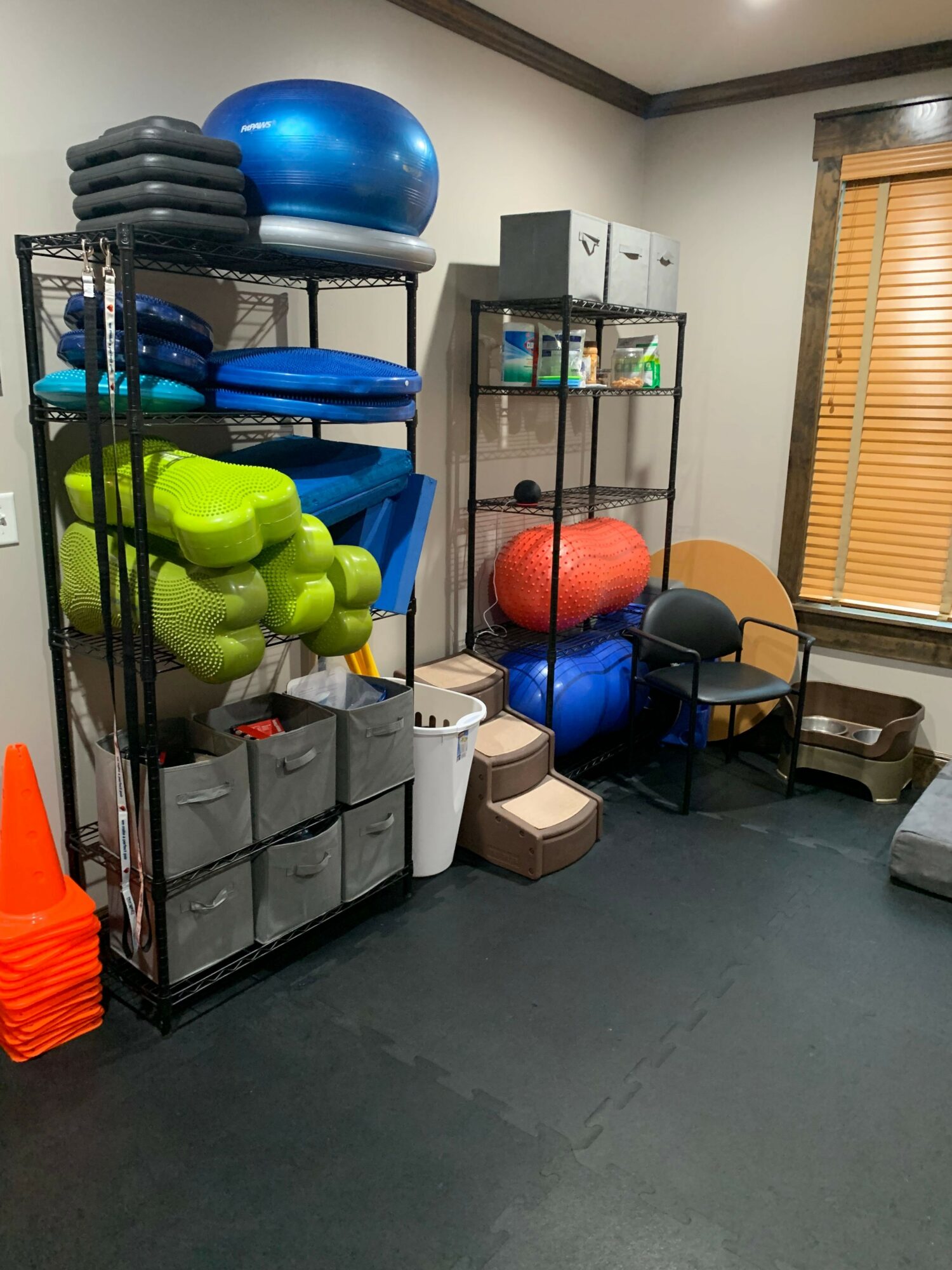 Hidden Gems: Meet Michele Broadhurst of Rehab 4 Pets - Voyage Dallas ...