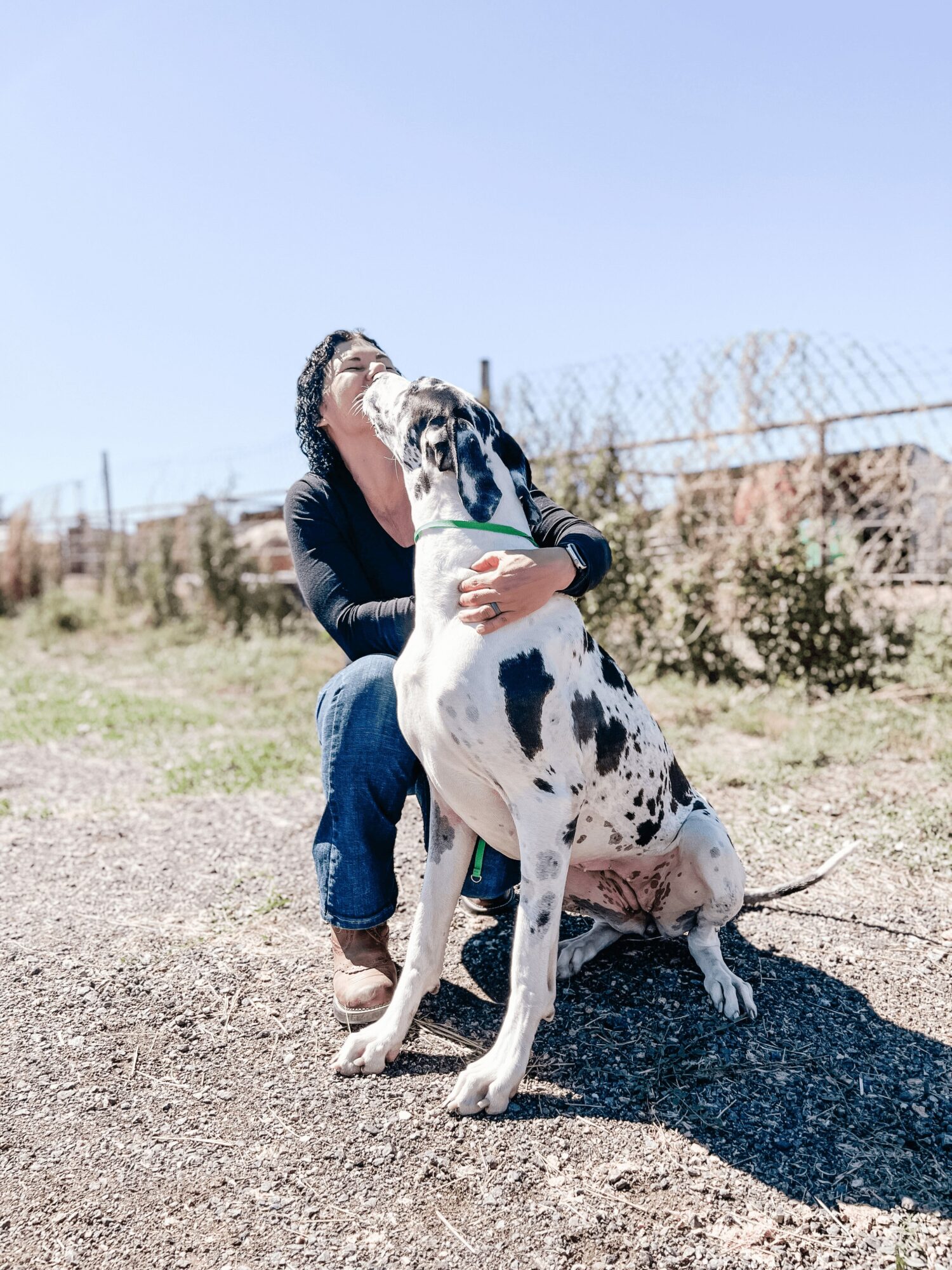 Hidden Gems: Meet Michele Broadhurst of Rehab 4 Pets - Voyage Dallas ...