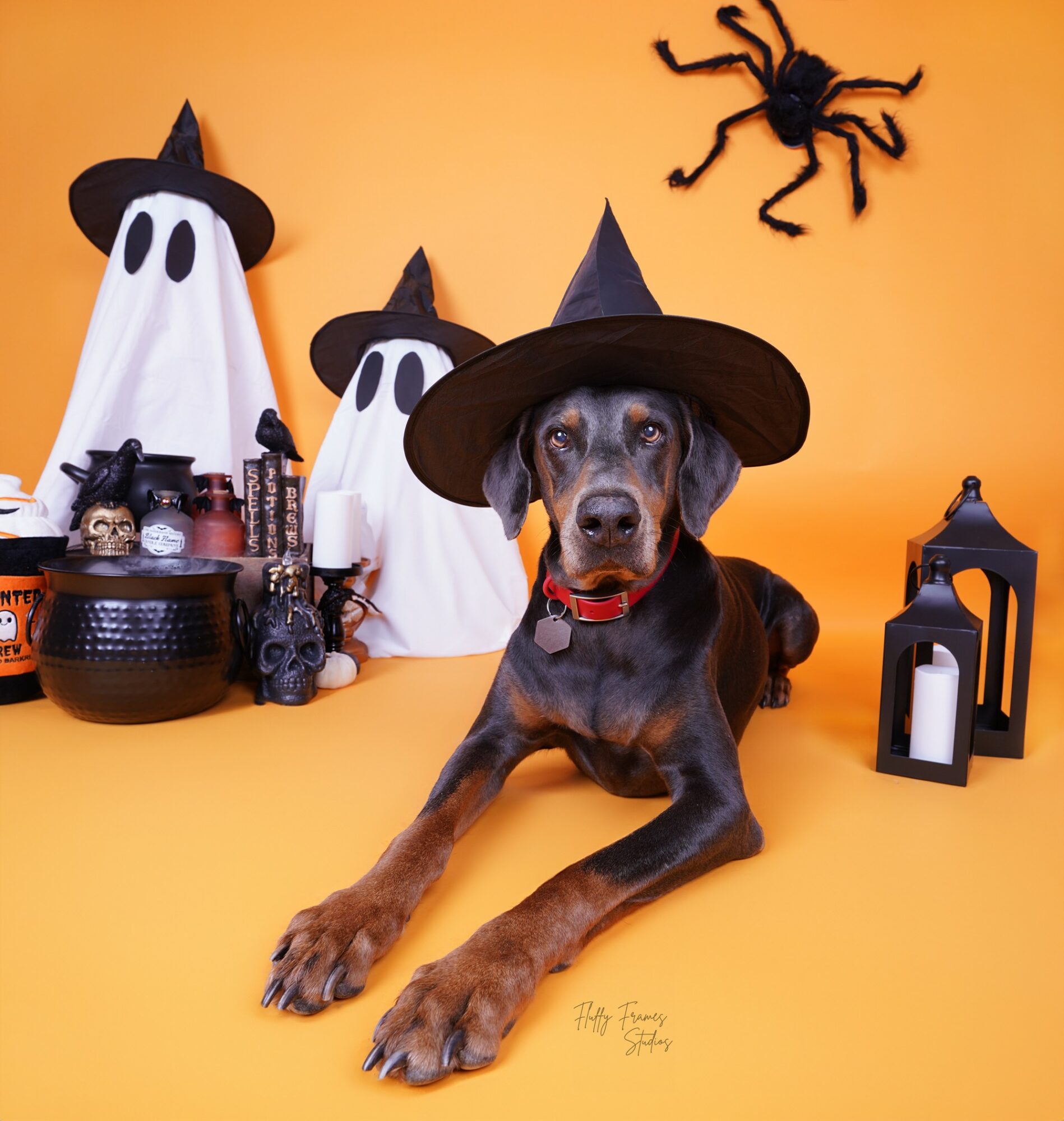 Conversations with Fluffy Frames Studios - Voyage Dallas Magazine ...