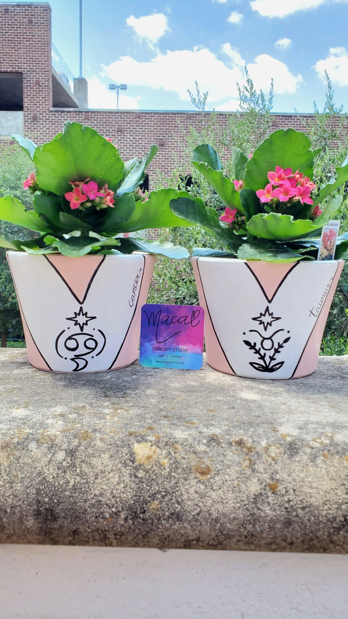 Meet Maca Rodriguez of Addison - Voyage Dallas Magazine | Dallas City Guide