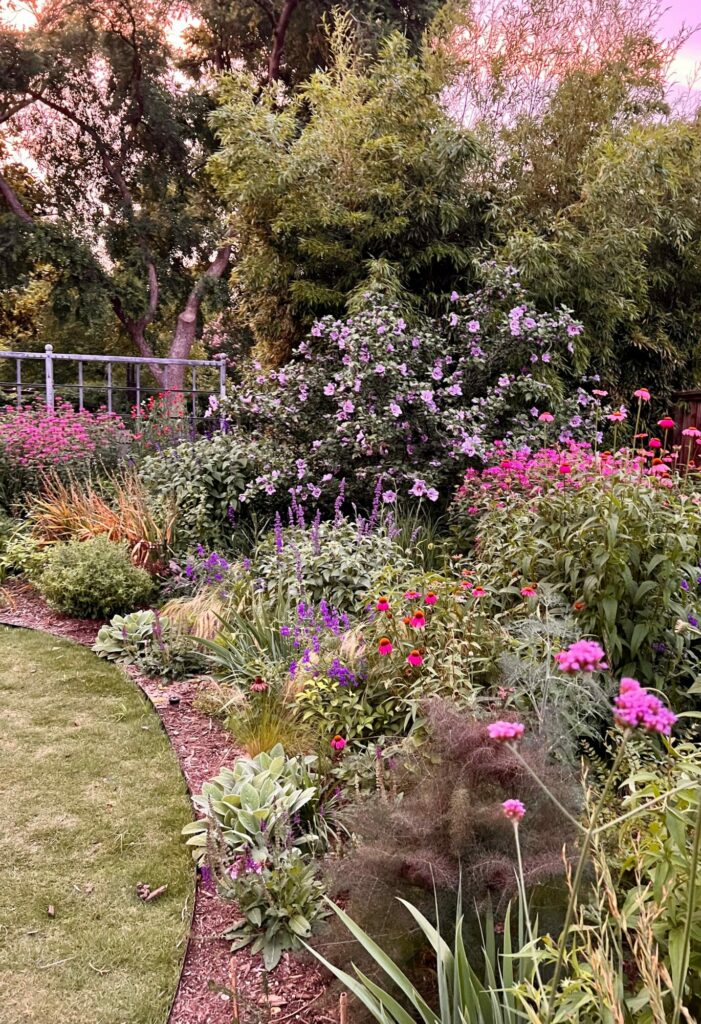 Meet Mike Wicker of Oak Cliff - Voyage Dallas Magazine | Dallas City Guide