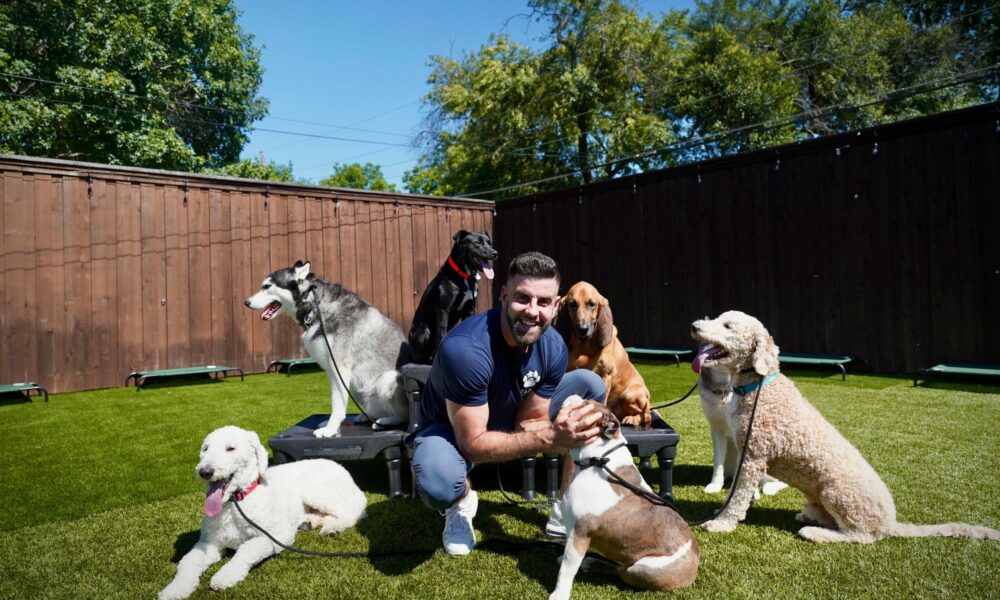 Inspiring Conversations with Joseph Starr of Starr Dog Behavior ...