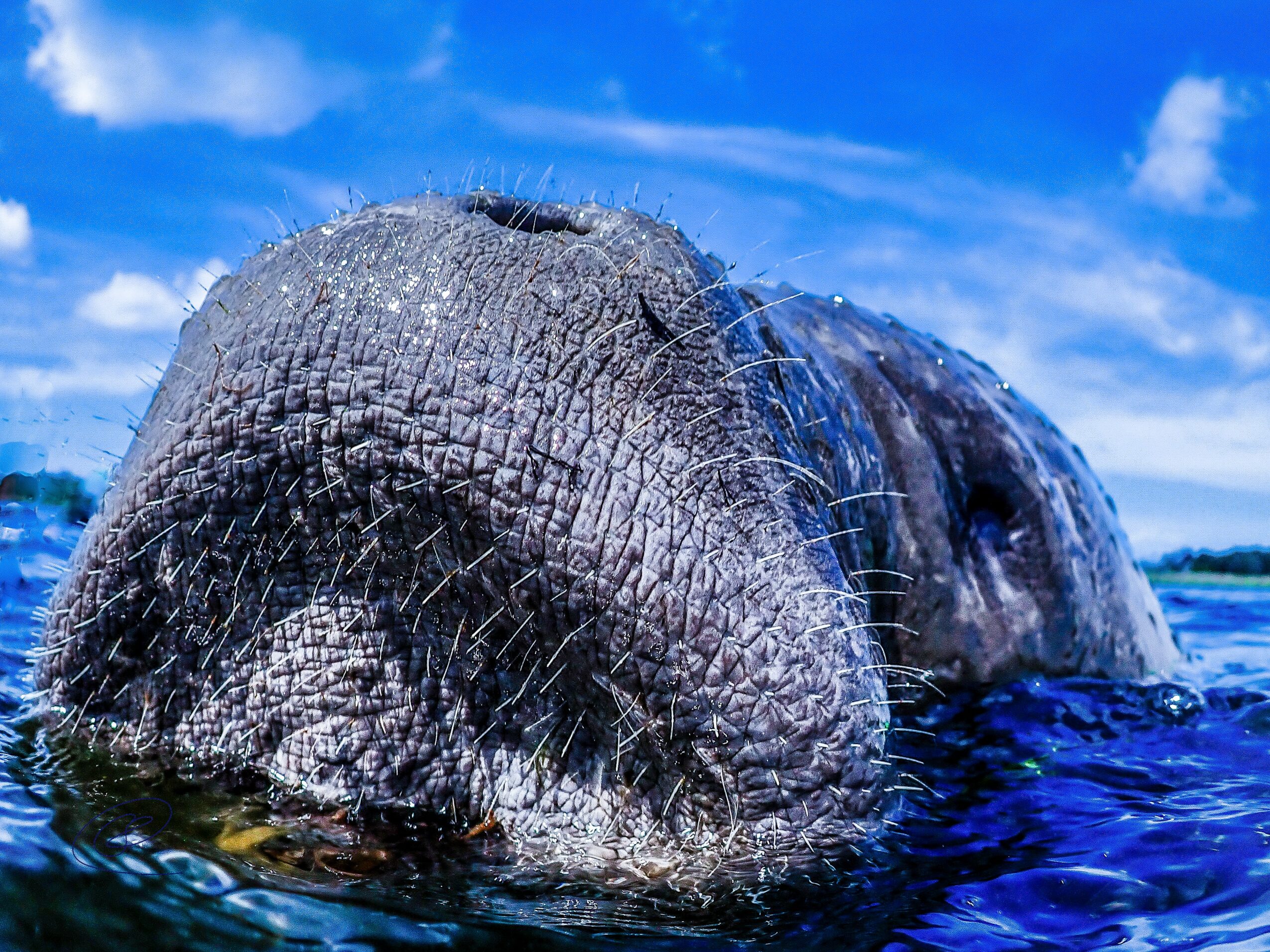 Daily Inspiration: Meet Casey Fredette - Voyage Dallas Magazine ...