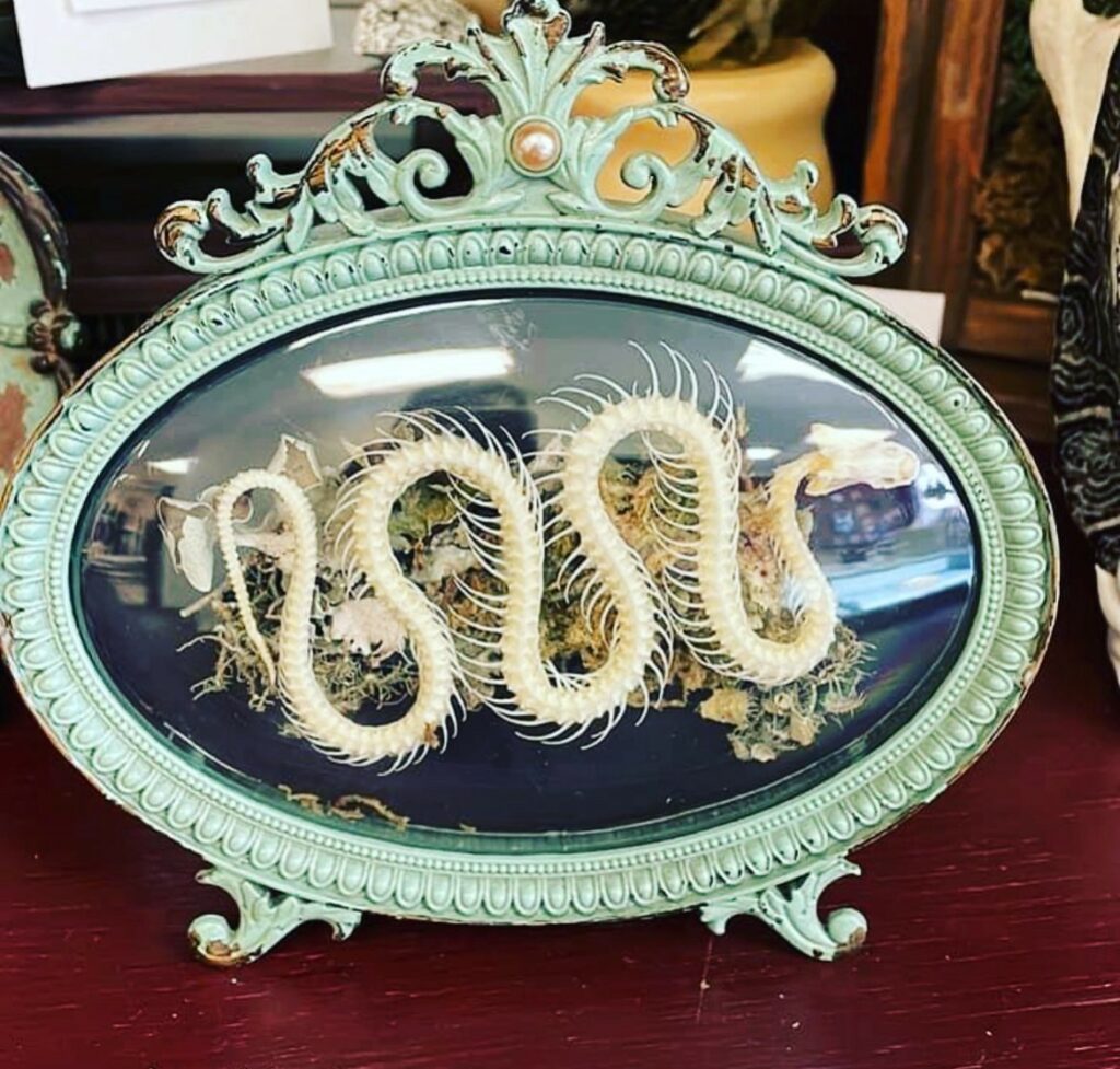 Check Out Christina Brooke’s Story - Voyage Dallas Magazine | Dallas ...