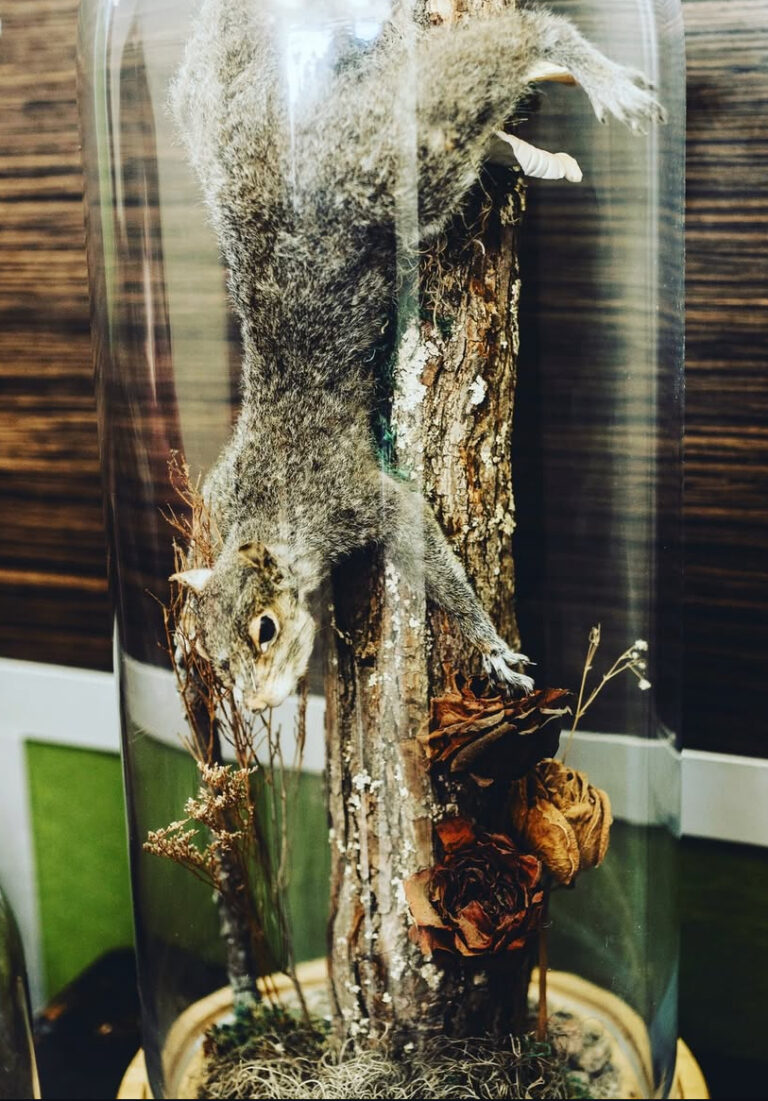 Check Out Christina Brooke’s Story - Voyage Dallas Magazine | Dallas ...