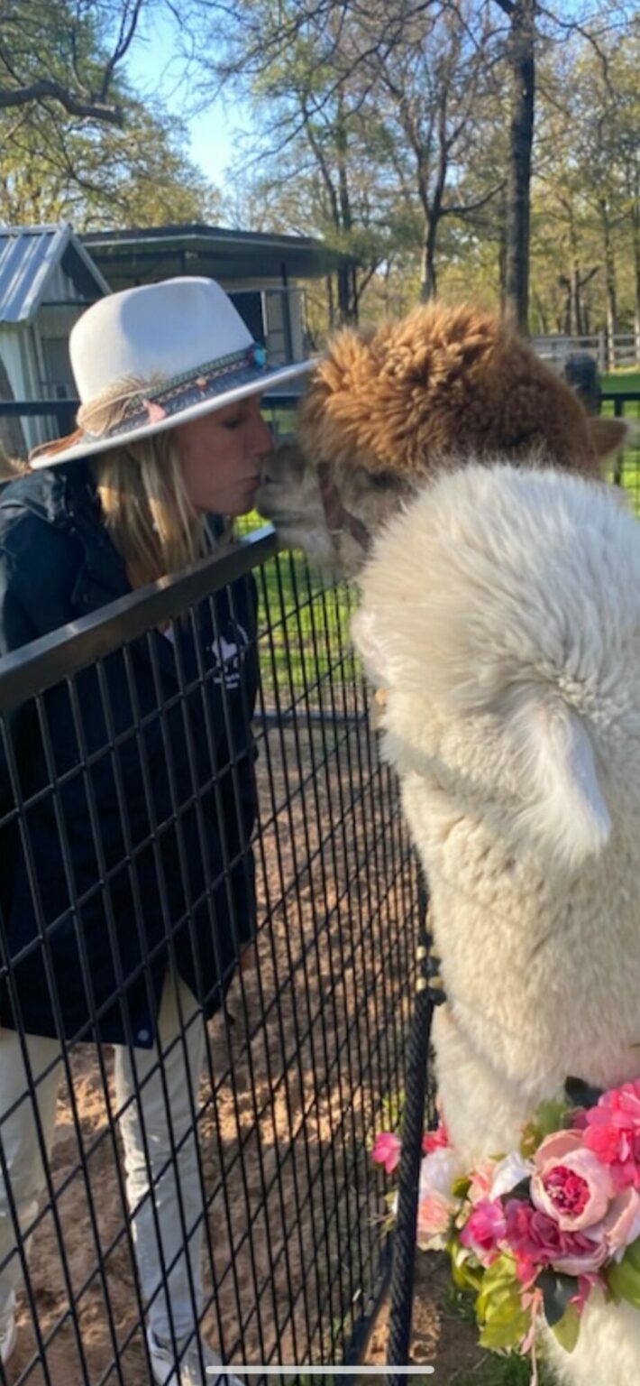 Inspiring Conversations with Joni Kuhn of Bella Cavalli Events - Voyage ...