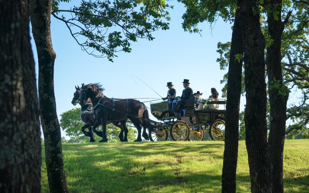 Inspiring Conversations with Joni Kuhn of Bella Cavalli Events - Voyage ...