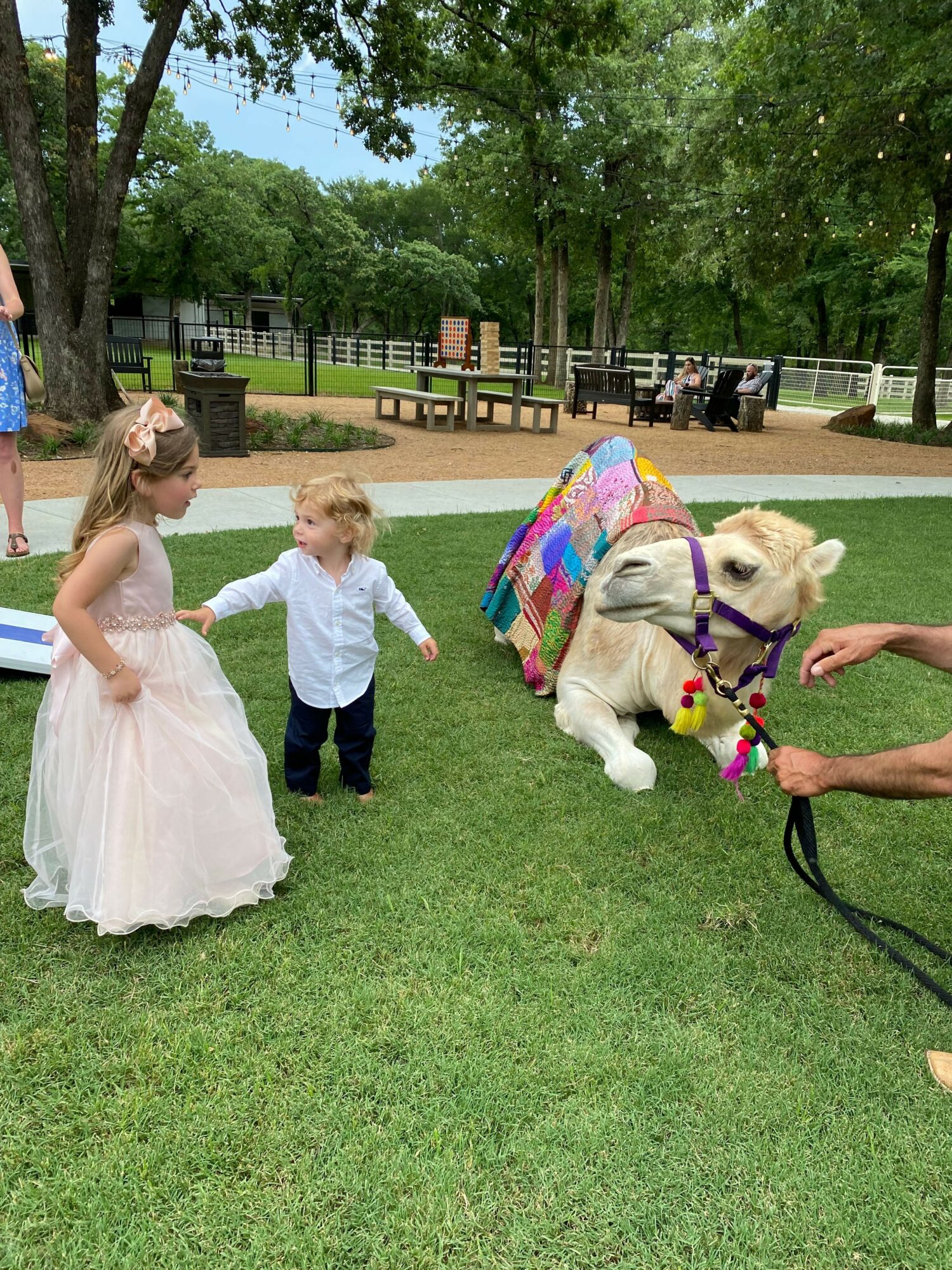 Inspiring Conversations with Joni Kuhn of Bella Cavalli Events - Voyage ...