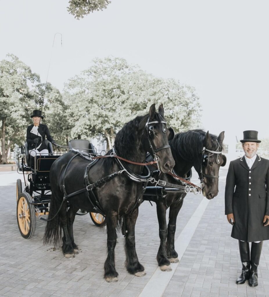 Inspiring Conversations with Joni Kuhn of Bella Cavalli Events - Voyage ...