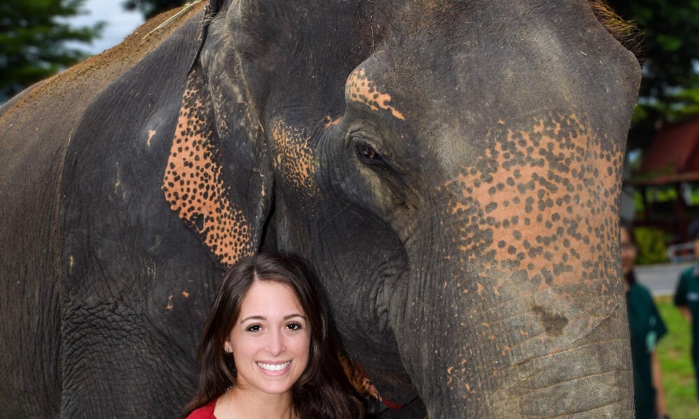 Daily Inspiration: Meet Rachel Siu - Voyage Dallas Magazine | Dallas ...