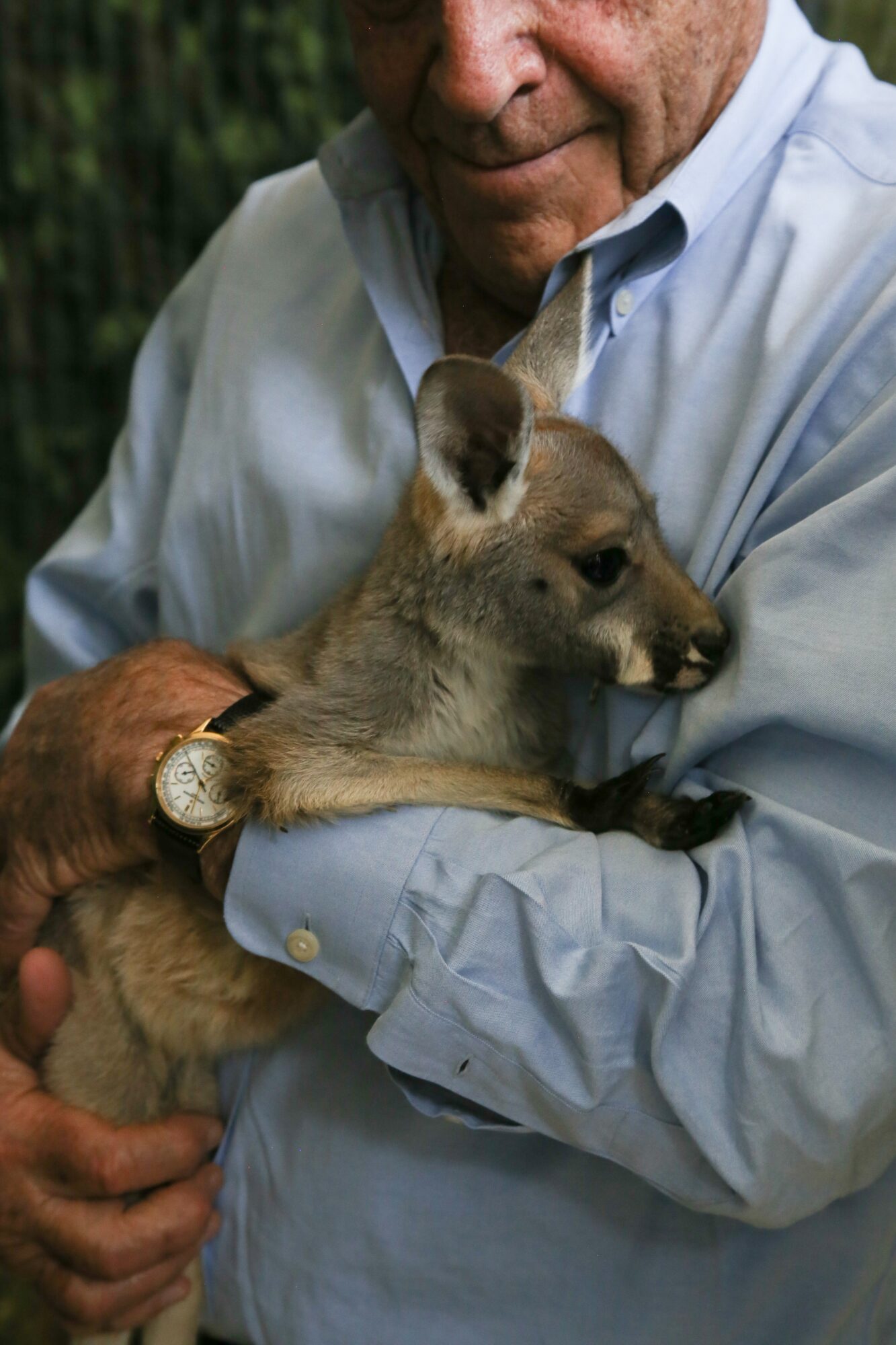 Check Out Francesca Lawrence’s Story - Voyage Dallas Magazine | Dallas ...