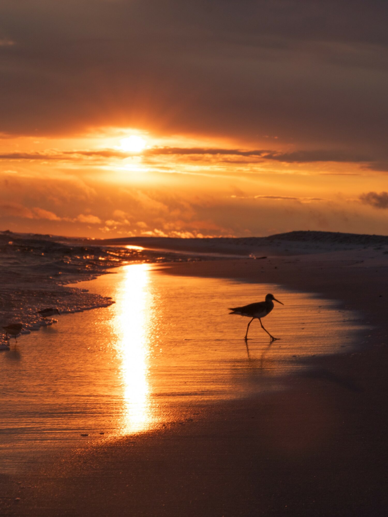 Life & Work with Gaven Dean of Allen - Voyage Dallas Magazine | Dallas ...