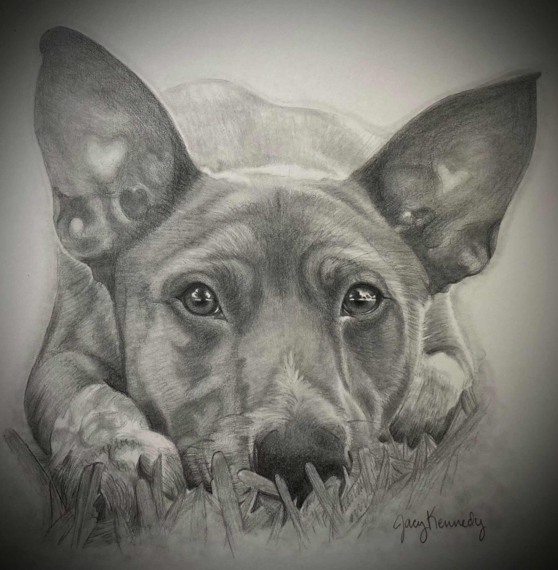 Conversations with Jacy Kennedy - Voyage Dallas Magazine | Dallas City ...