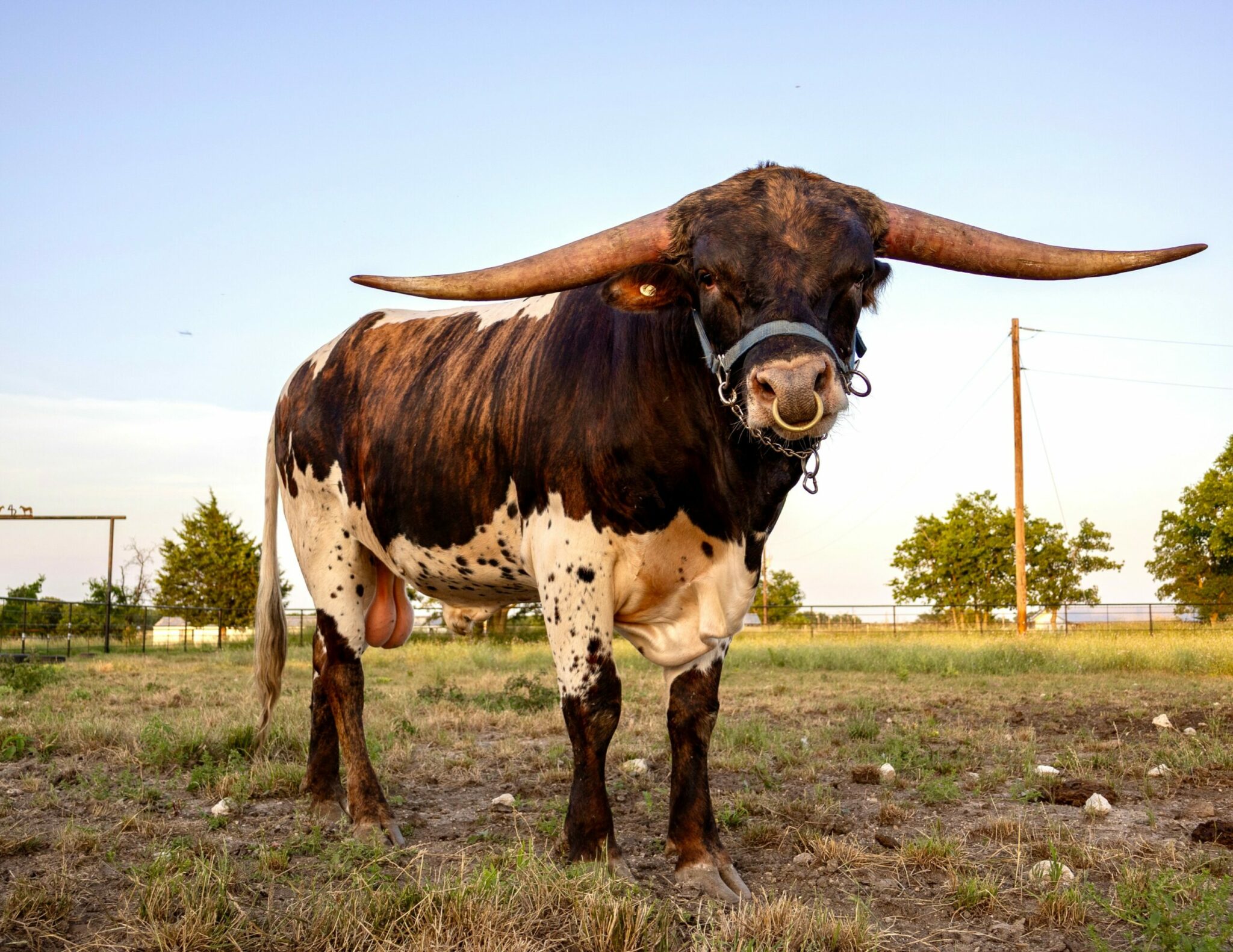 Conversations with Jo Morrow - Voyage Dallas Magazine | Dallas City Guide