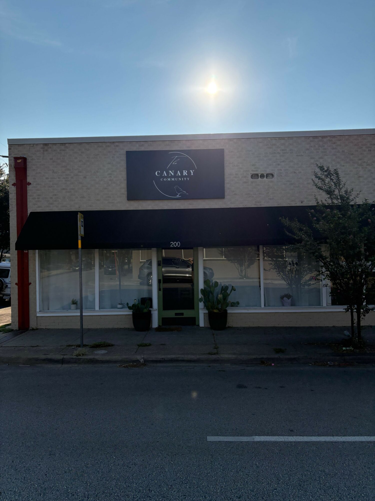 Hidden Gems: Meet Rachel Riley of The Canary Community - Voyage Dallas ...