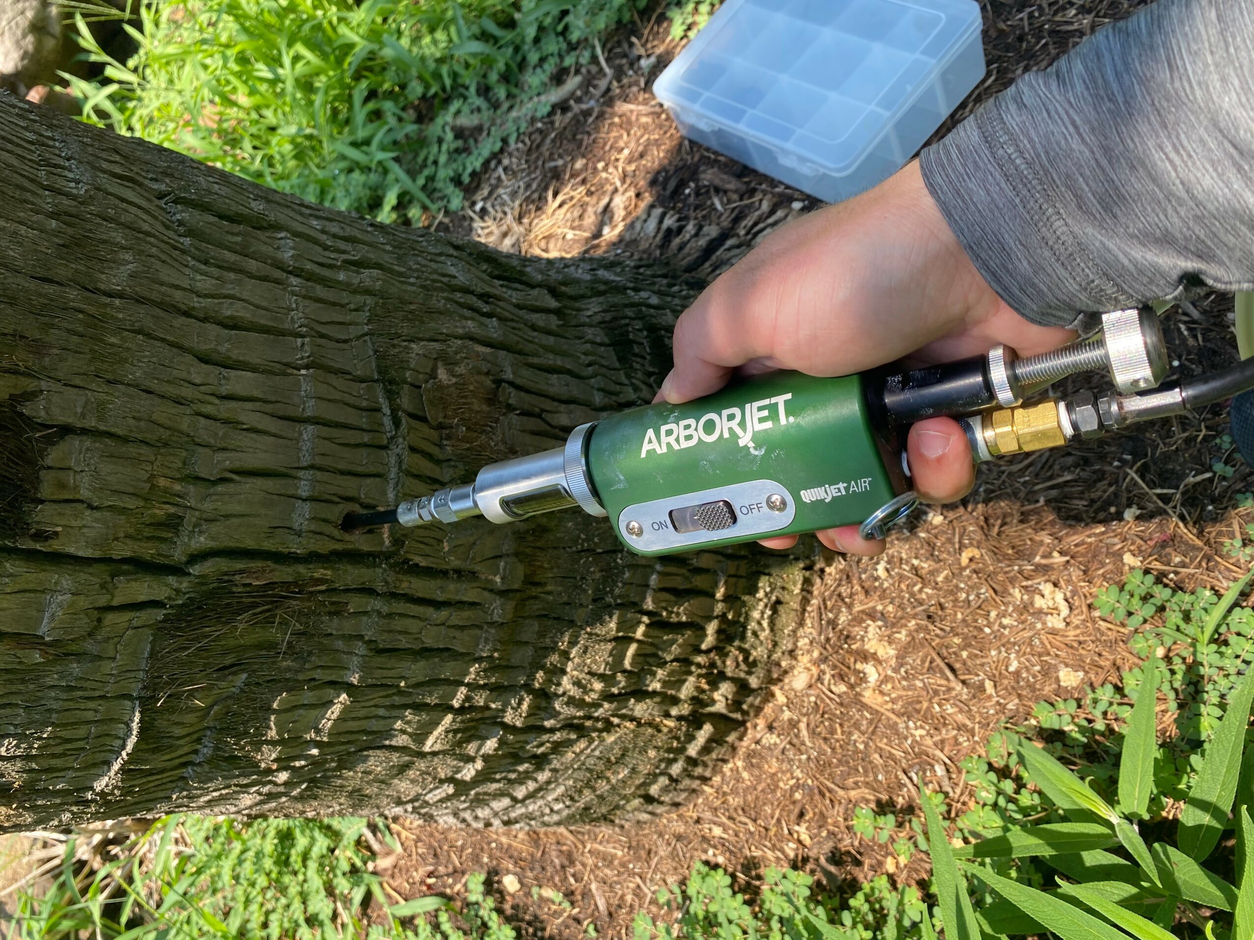 Community Highlights: Meet Tim Waswick of Aspen Tree Service - Voyage ...