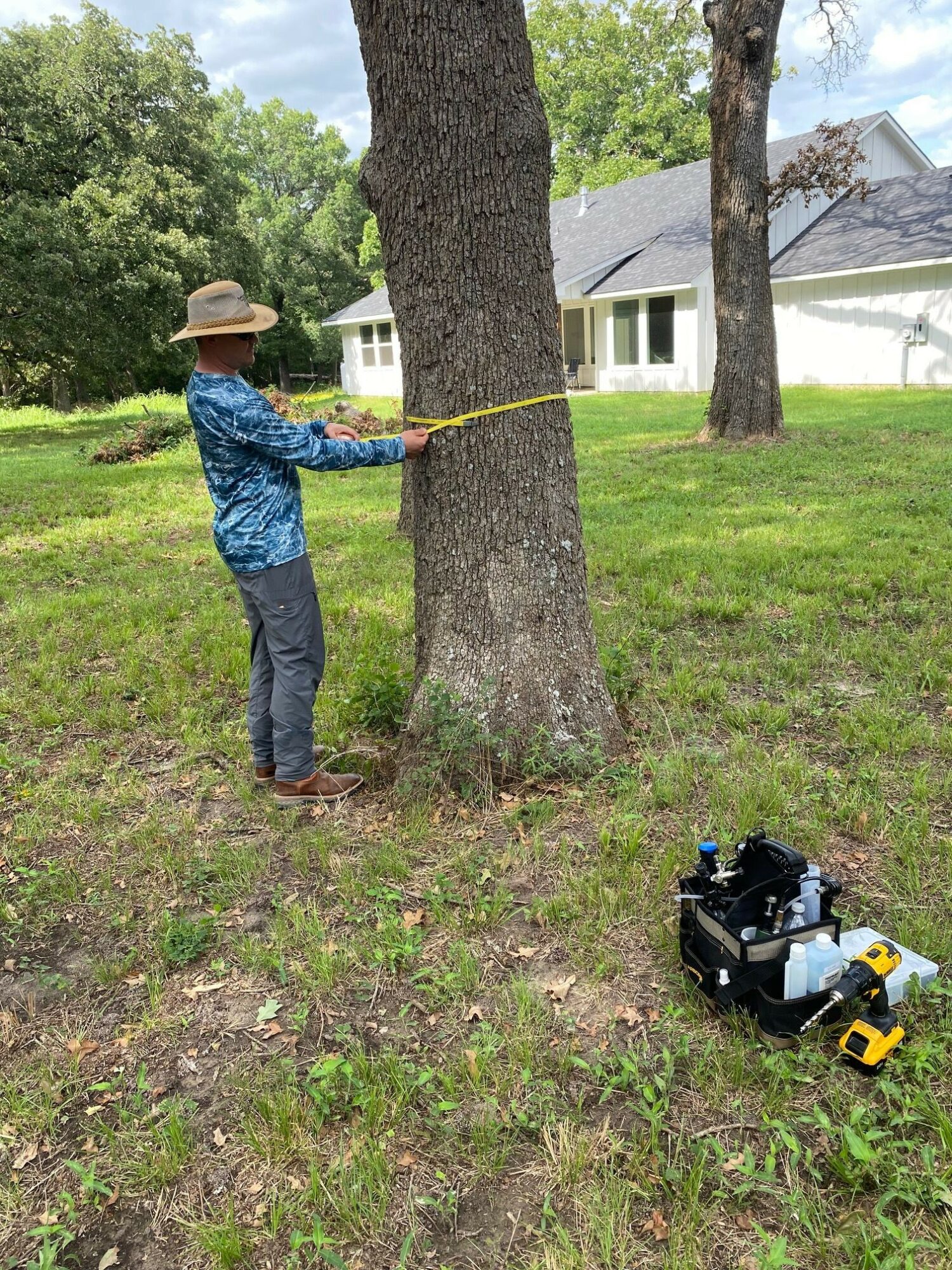 Community Highlights: Meet Tim Waswick of Aspen Tree Service - Voyage ...