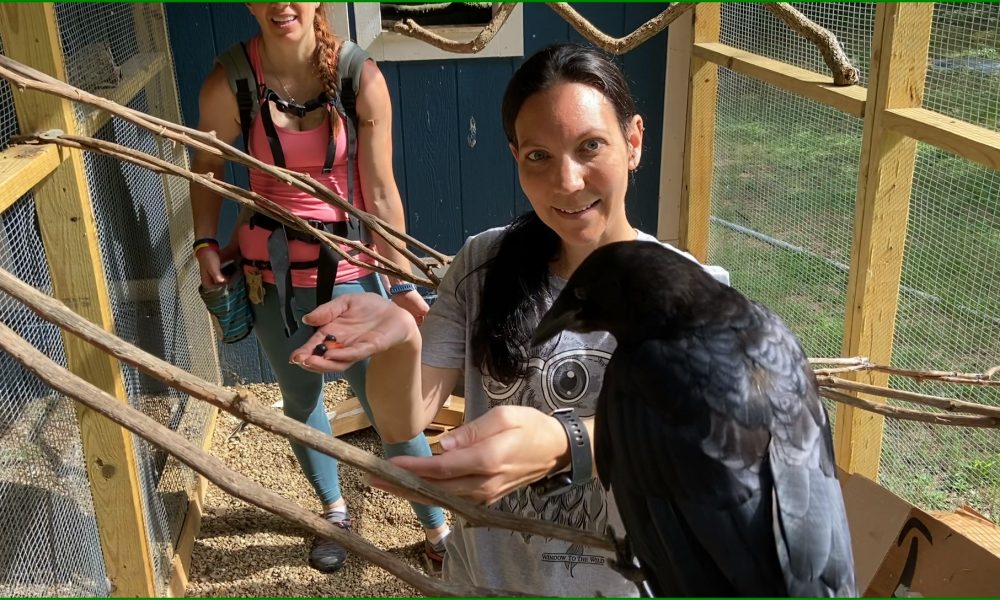 Meet Amanda Guzman - Voyage Dallas Magazine | Dallas City Guide